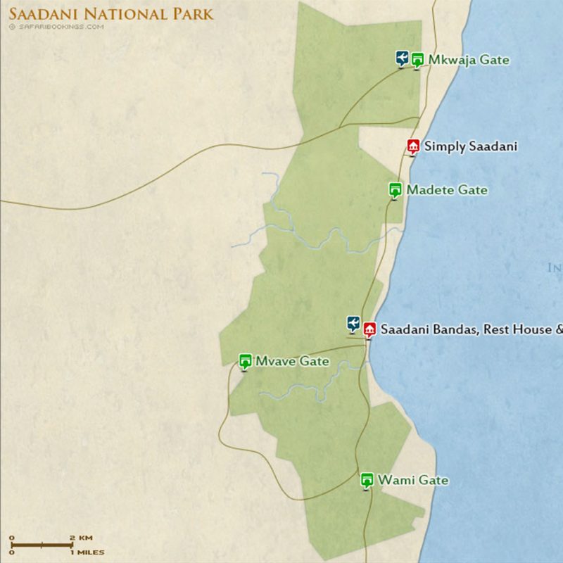 Saadani National Park - African wanders