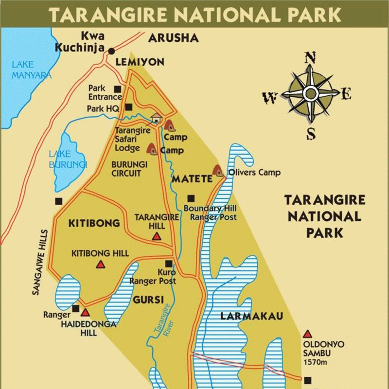 Tarangire National Park - African wanders